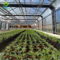 China Medical Herb Planting Light Deprivation Blackout Greenhouse For Mushroom for sale