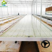 China ABS Panel Hydroponic Seedling Greenhouse Rolling Benches 1.22m/4ft Width for sale