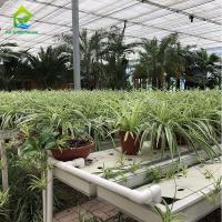 China ABS Panel Ebb Flow Tray Medical Plants Greenhouse Rolling Benches Single Layer for sale