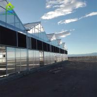 China Commercial Blackout Light Deprivation Greenhouse Medical Plants Growing for sale