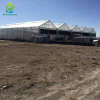 China Commercial Blackout Light Deprivation Greenhouse Medical Plants Growing for sale