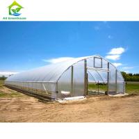 China High Strength Easy Installation Poly Tunnel Greenhouse Insect Prevention Increase Production for sale