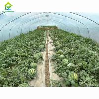 China High Strength Easy Installation Poly Tunnel Greenhouse Insect Prevention Increase Production for sale