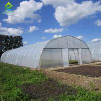 China Modern Farming Single-span Plastic PE Film Poly Tunnel Tomato Greenhouse for sale