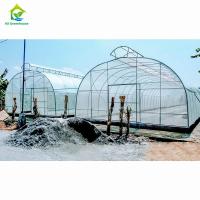 China Automatic Ventilation System High Arch Poly Tunnel Greenhouse With Insect Nets for sale