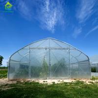 China Commercial Plastic PE Film Seedling Poly Tunnel Greenhouse For Tomato Growing for sale