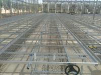 China Hot Galvanized Steel Frame Commercial Greenhouse Tables with Adjustable Shelving and UV Protection for sale