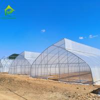 China Single-Span Sawtooth Design Tropical Plastic Film Greenhouse Tunnel Customized for Vegetable Growing for sale