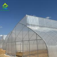 China Custom Nursery Planting Sawtooth Plastic Film Greenhouse Single Span For Tomato for sale
