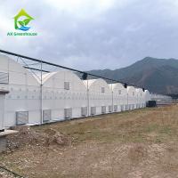 China Tropical Agricultural PE Plastic UV Resistant Film Multi Span Greenhouse For Blueberry for sale