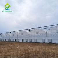 China Tropical Agricultural PE Plastic UV Resistant Film Multi Span Greenhouse For Blueberry for sale