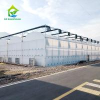 China Tropical Agricultural PE Plastic UV Resistant Film Multi Span Greenhouse For Blueberry for sale