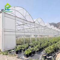 China Tropical Agricultural PE Plastic UV Resistant Film Multi Span Greenhouse For Blueberry for sale