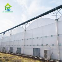 China Tropical Agricultural PE Plastic UV Resistant Film Multi Span Greenhouse For Blueberry for sale