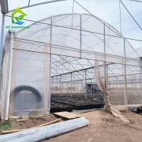 China Galvanized Steel Frame PE Plastic Film Greenhouse For Agriculture Low Cost Tunnel for sale