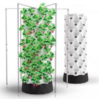 China Indoor Vertical Growing Systems Soilless Culture Hydroponic Grow Towers For Lettuce for sale