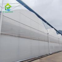 China Agricultural UV Resistant Film Poly Tunnel Tomato Greenhouse For Flowers Plant for sale