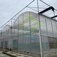 China Wind Resistant Plastic PE Film Commercial Poly Tunnel Greenhouse For Planting Fruit for sale