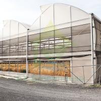 China Steel Tructure UV Resistant Film Poly Tunnel Multi-span Vegetable Greenhouse for Tomatoes for sale
