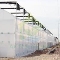 China Commercial Hot Dip Galvanized Frame Tomato Strawberry Poly Tunnel Greenhouse For Lettuce for sale