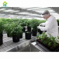 China Hydroponic Nursery Seed Grow Bed Rolling Bench Growing Table Ebb And Flow System for sale