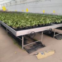 China Agricultural Hydroponic Movable Grow Table Greenhouse Rolling Benches For Flower for sale