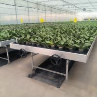China Flower Planting Greenhouse Seedbed Rolling Benches Grow Table Movable for sale