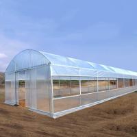 China Modern Farming Single-span Plastic PE Film Poly Tunnel Tomato Greenhouse for sale
