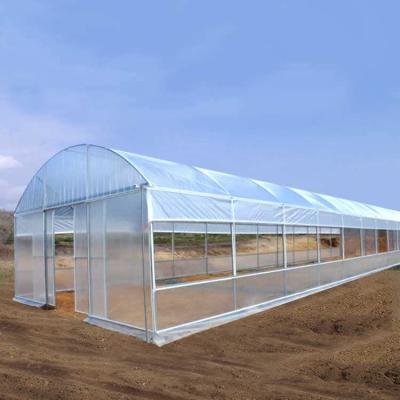 China Wind Resistant Plastic PE Film Commercial Poly Tunnel Greenhouse For Planting Fruit for sale