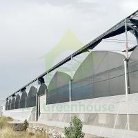 China Plastic PE Film Multi Span Tomato Poly Tunnel Greenhouse For Fruits Vegetables With Shade Net for sale