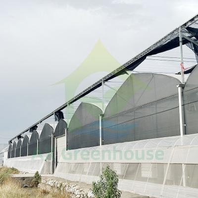 China Plastic PE Film Multi Span Tomato Poly Tunnel Greenhouse For Fruits Vegetables With Shade Net for sale