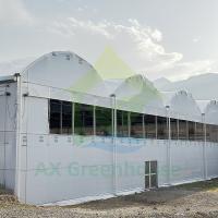China Plastic PE Film Multi Span Tomato Poly Tunnel Greenhouse For Fruits Vegetables With Shade Net for sale
