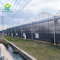 China Large Multi-span Plastic Film Poly Tunnel Greenhouse For Blueberry Planting for sale