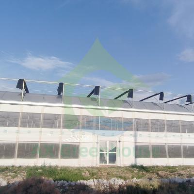 China Tropical Multi Span Strawberry Agricultural Poly Tunnel Greenhouse With Shade Net for sale