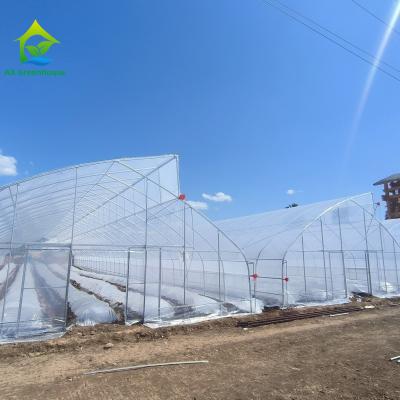 China Commercial Plastic PE Film Seedling Poly Tunnel Greenhouse For Tomato Growing for sale