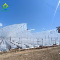 China Tropical Climate Custom Size Poly Tunnel Plastic Film Agricultural Sawtooth Greenhouse for sale