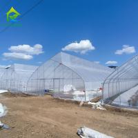 China Commercial Plastic PE Film Seedling Poly Tunnel Greenhouse For Tomato Growing for sale