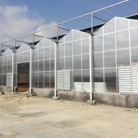 China Polycarbonate Multi Span Venlo PC Sheet Tomato Greenhouse With Irrigation System for sale