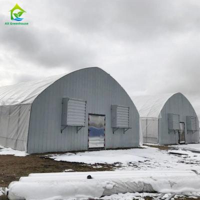 China Medical Herb Growing Blackout Automatic Greenhouse Light Deprivation For Mushroom for sale