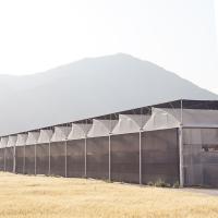 China Tomato Growing Multi Span Polytunnel Plastic Film Greenhouse Farming Equipment for sale