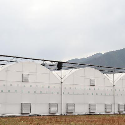 China Metal Frame Durable Multi Span Plastic Film Greenhouse For Agriculture Farming for sale