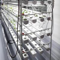 China Agriculture Farming Pipe PVC Square Soilless Hydroponic NFT Growing Systems For Greenhouse for sale