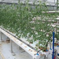 China Horticulture Circular Tube Soilless Culture Hydroponic NFT Channel Grow Systems For Grow for sale