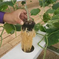 China Horticulture Circular Tube Soilless Culture Hydroponic NFT Channel Grow Systems For Grow for sale