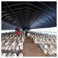 China Polycarbonate Light Deprivation Mushroom Greenhouse Blackout With Irrigation System for sale