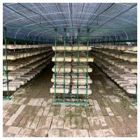 China Polycarbonate Light Deprivation Mushroom Greenhouse Blackout With Irrigation System for sale