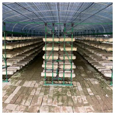 China Automatic Polycarbonate Metal Frame Agriculture Greenhouse Blackout For Mushroom Growing for sale