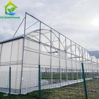 China Tropical Small Tunnel Film Plastic Tunnel Agricultural Greenhouses For Tomato for sale