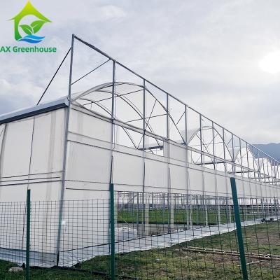 China Tropical Small Tunnel Film Plastic Tunnel Agricultural Greenhouses For Tomato for sale
