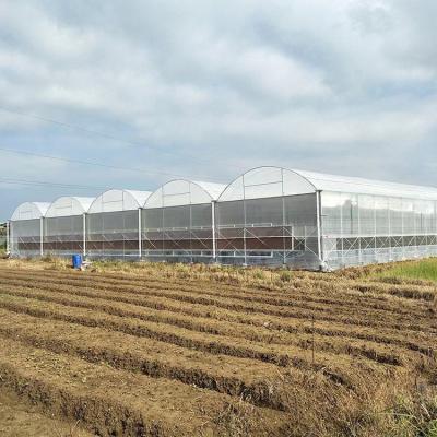 China Poly Tunnel 200 Micron Plastic Film Greenhouse For Tomato Growing for sale